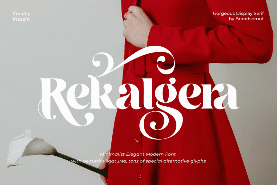 6399 Free Serif Fonts · 1001 Fonts