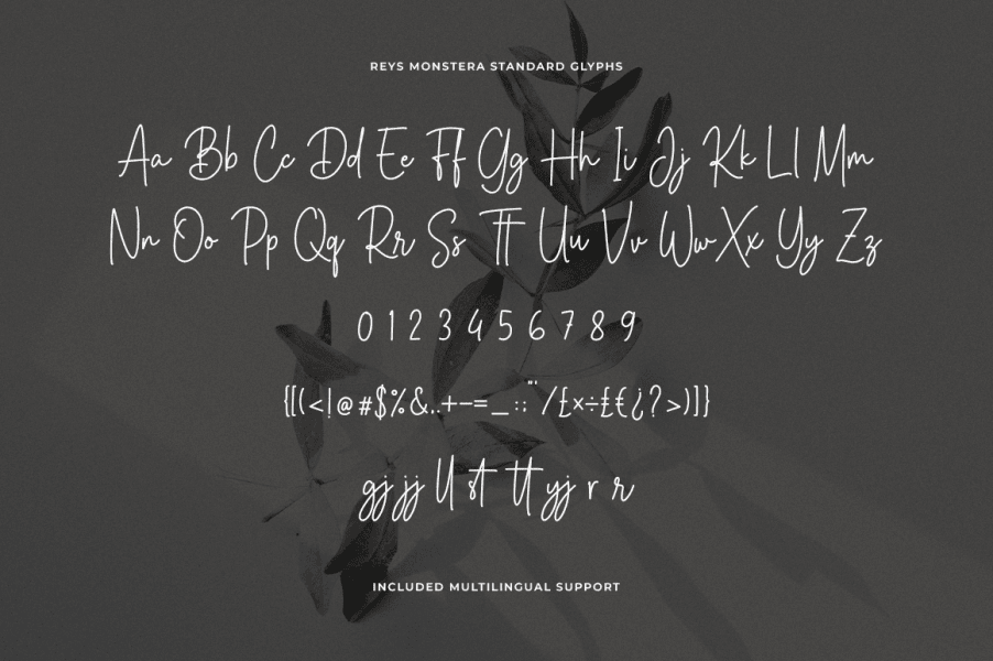 Reys Monstera Font · 1001 Fonts