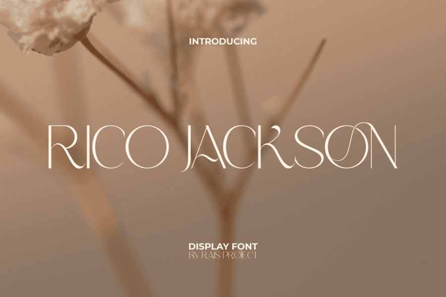 Rico Jackson Demo Font · 1001 Fonts