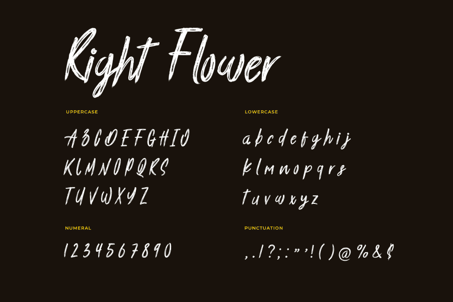 Right Flower Font · 1001 Fonts