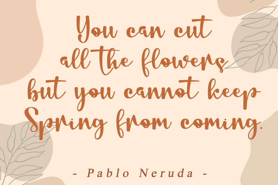 7 Free Beautiful, Brush, Brush Lettering, Calligraphy, Cursive ...