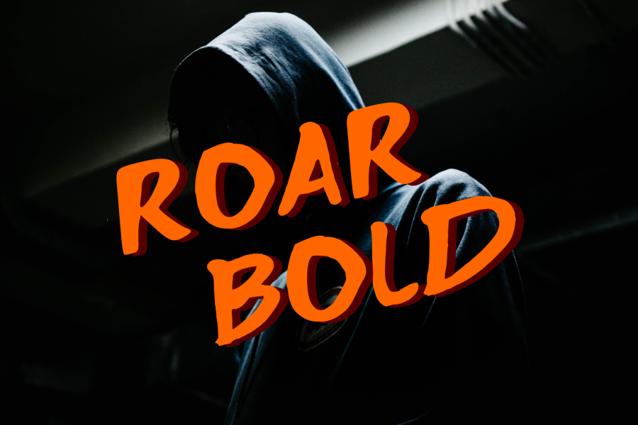 Roar Font · 1001 Fonts