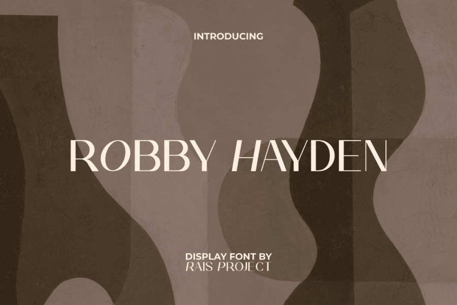 Robby Hayden Demo Font · 1001 Fonts
