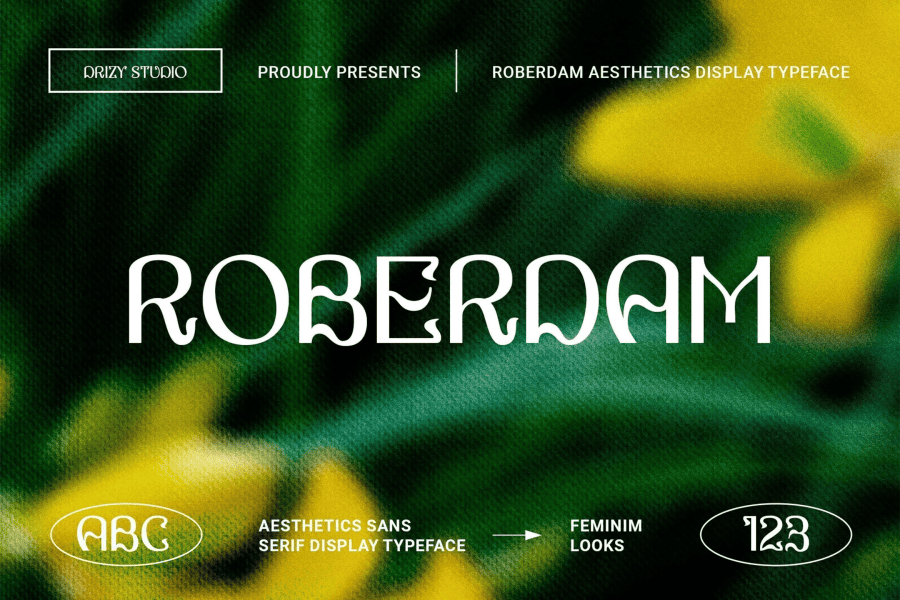 Roberdam Font · 1001 Fonts