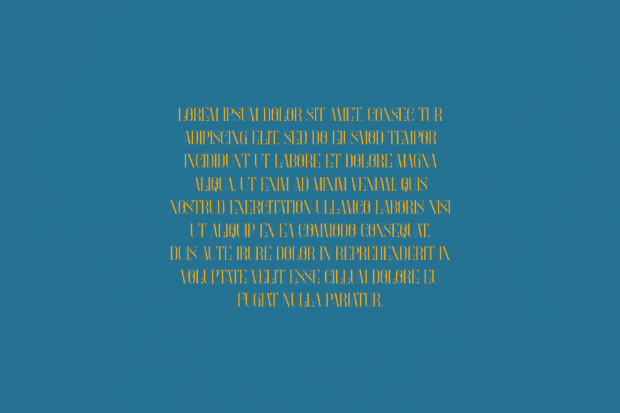 Rochelle Font · 1001 Fonts