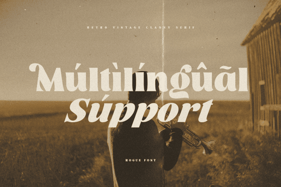 Rogue Font · 1001 Fonts