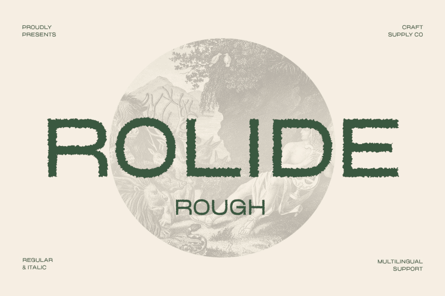 Rolide Rough Demo Font · 1001 Fonts