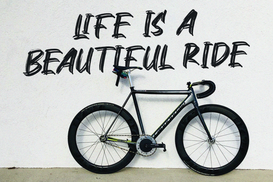 Ronald Charis Font · 1001 Fonts