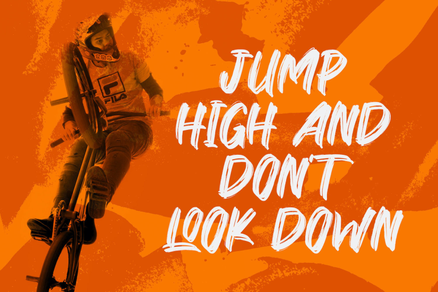 Ronald Charis Font · 1001 Fonts