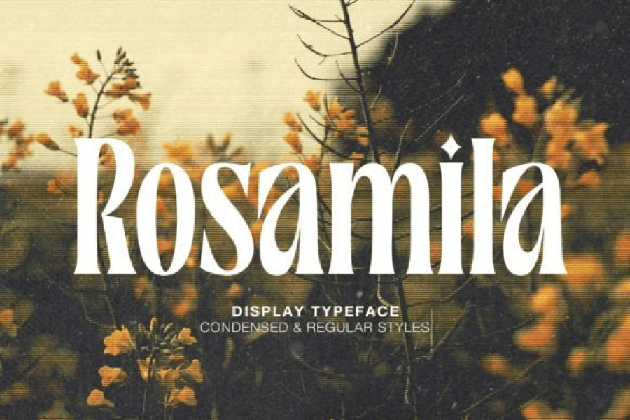 Rosamila Font Family · 1001 Fonts