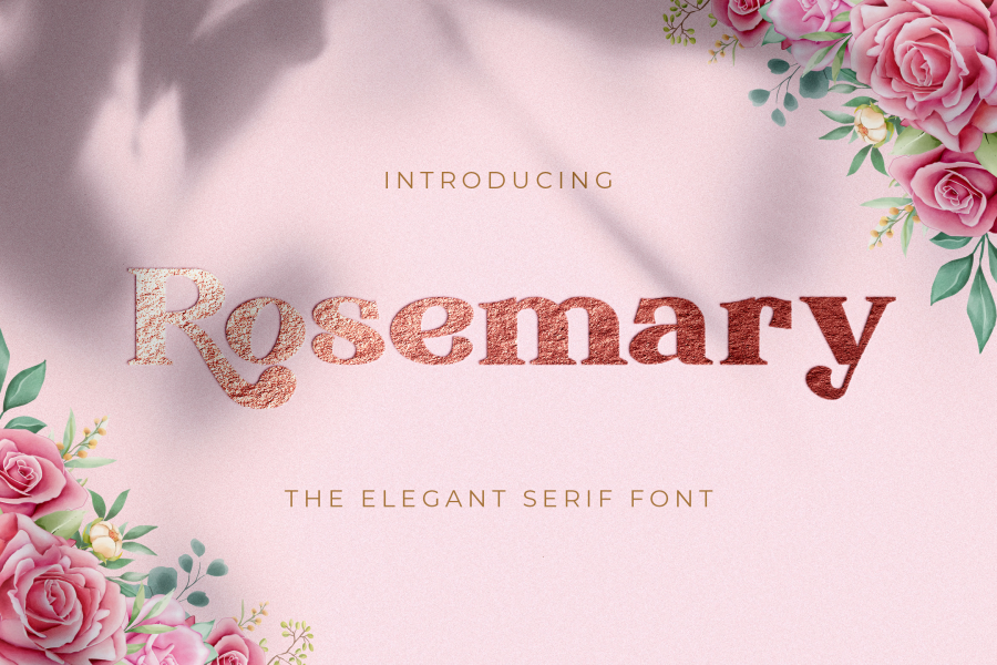 Rosemary Font · 1001 Fonts