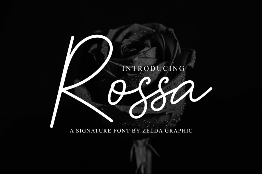 Rossa Font · 1001 Fonts