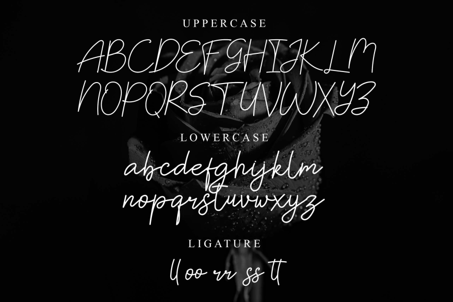 Rossa Font · 1001 Fonts