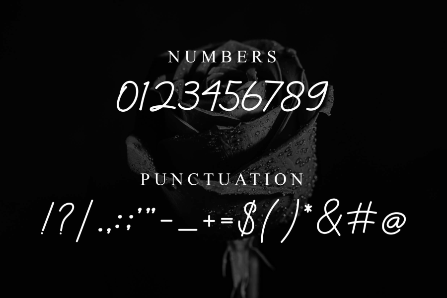 Rossa Font · 1001 Fonts