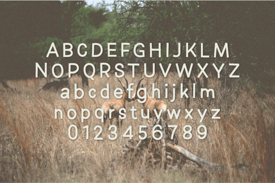 Rubbing Font · 1001 Fonts