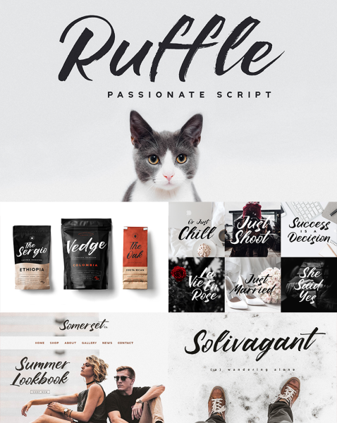 Ruffle Script DEMO Font · 1001 Fonts