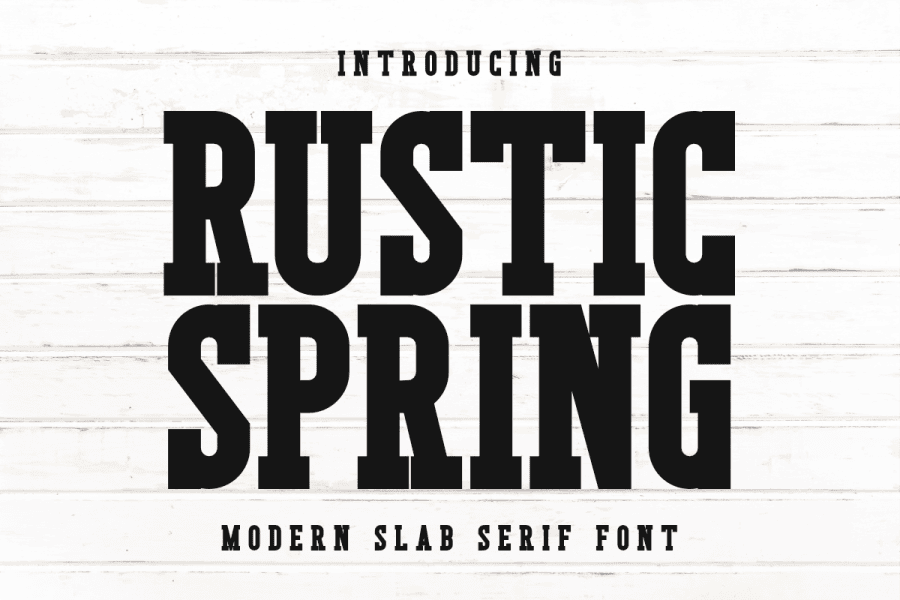 Rustic Spring Font · 1001 Fonts