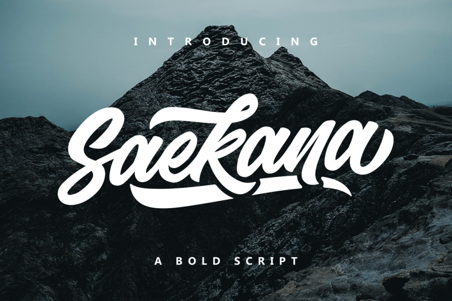 Saekana Font Family · 1001 Fonts