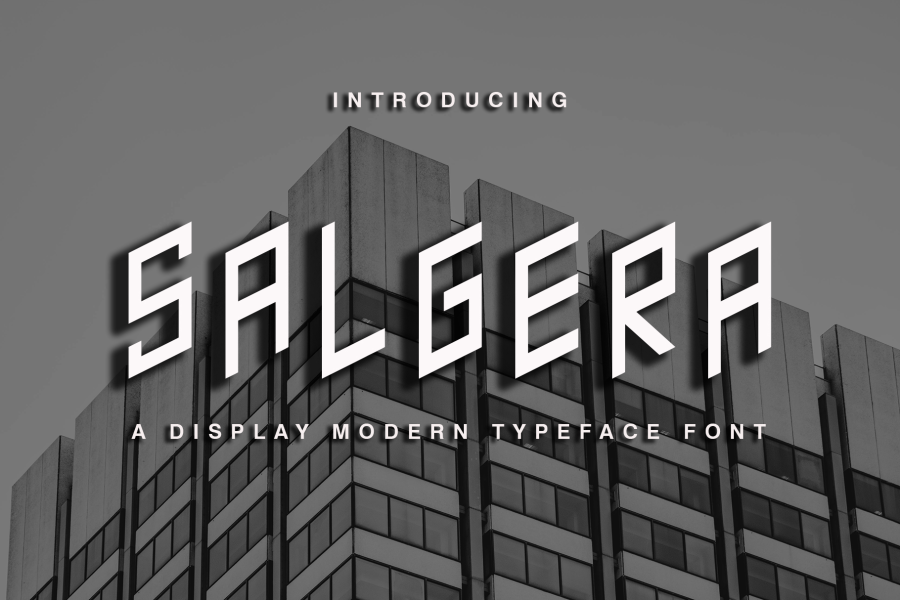 Salgera - Demo Font · 1001 Fonts