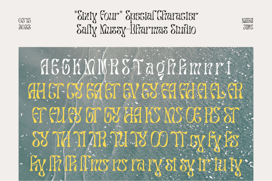 Salty Mussy DEMO Font · 1001 Fonts