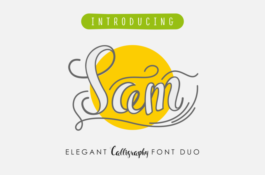 Sam Demo Font Family · 1001 Fonts