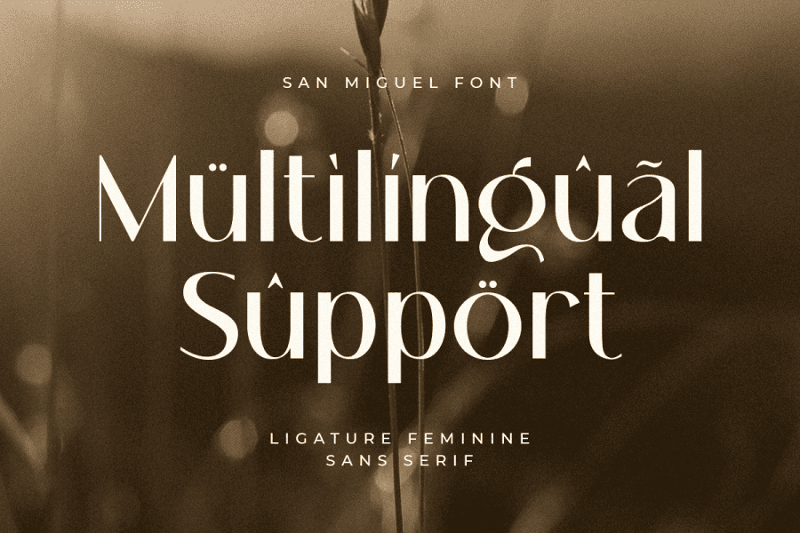 San Miguel Font · 1001 Fonts