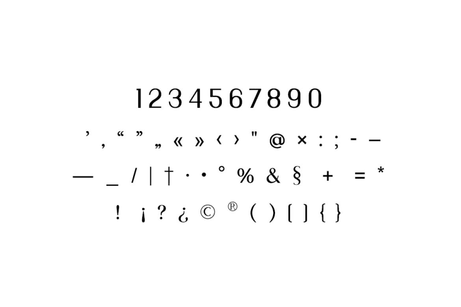 sanctimony Font Family · 1001 Fonts