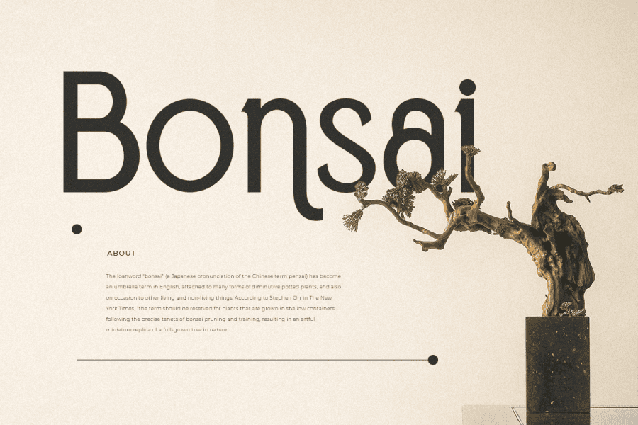 Sarifa Font · 1001 Fonts