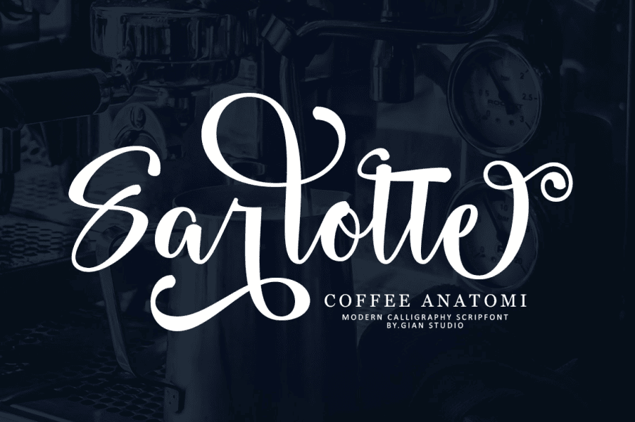 Sathya Script Font · 1001 Fonts
