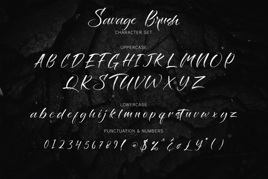 Savage Brush Font · 1001 Fonts