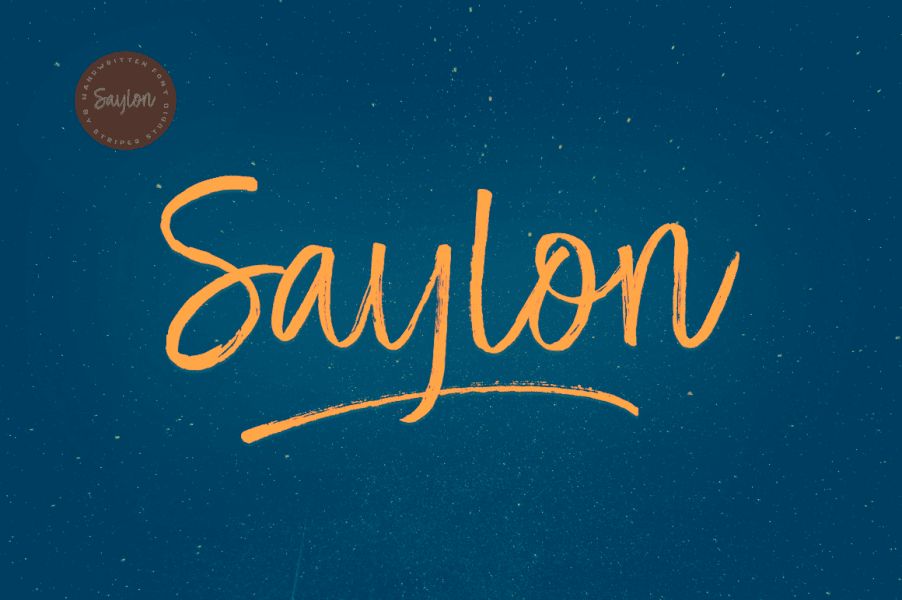 Saylon Brush Font Family · 1001 Fonts