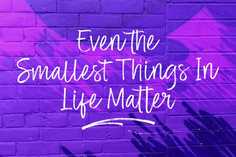 Saylon Brush Font Family · 1001 Fonts