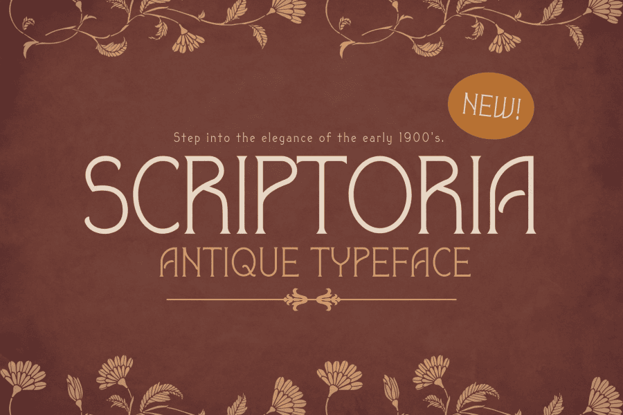 1 Free Elegant Curves Font · 1001 Fonts