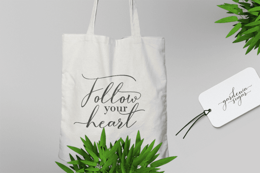 Seattle Script Font · 1001 Fonts