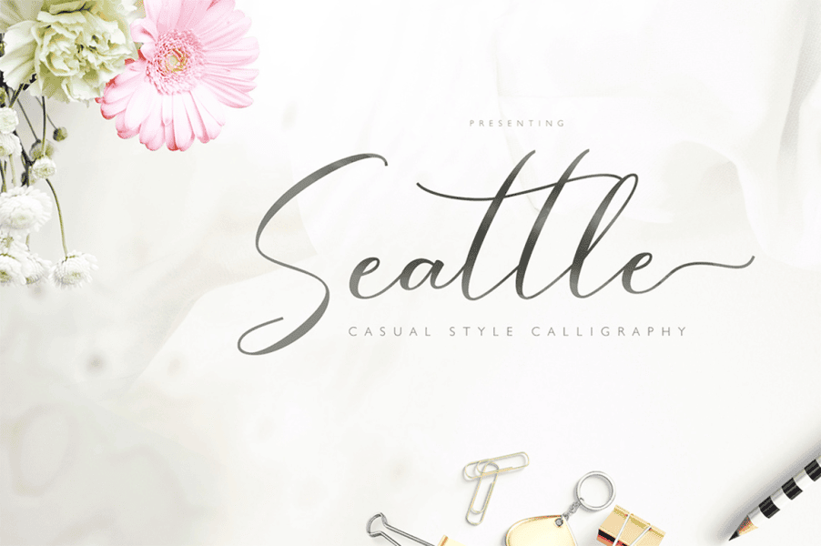 Seattle Script Font · 1001 Fonts