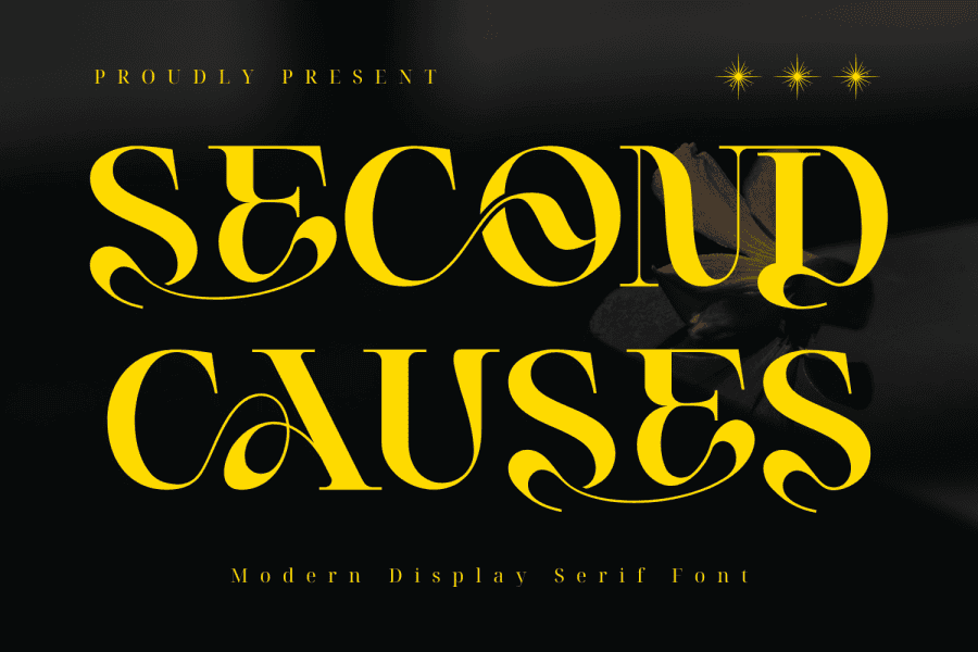 Second Causes Demo Font · 1001 Fonts