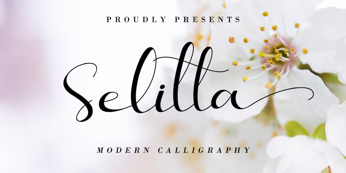 Selitta Font · 1001 Fonts