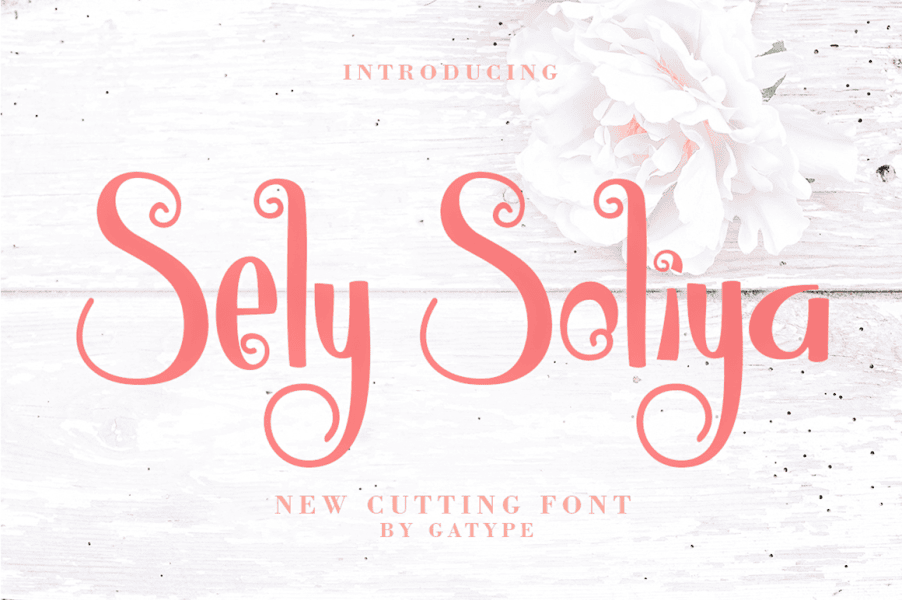 Sely Soliya Font · 1001 Fonts