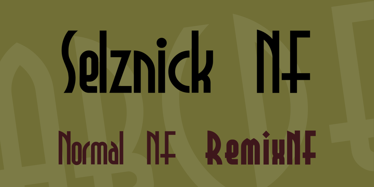 Selznick NF Font Family · 1001 Fonts