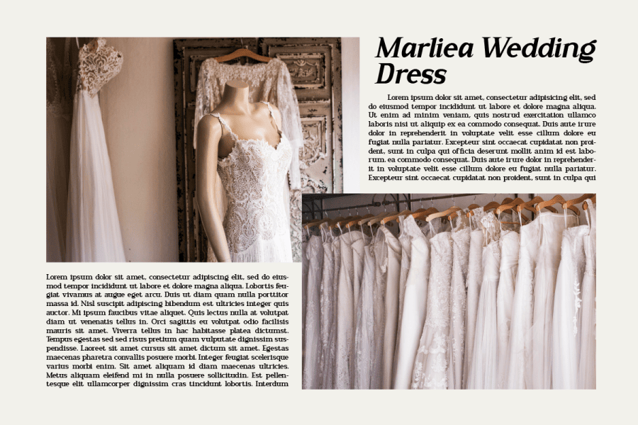 Seraphina Font Family · 1001 Fonts