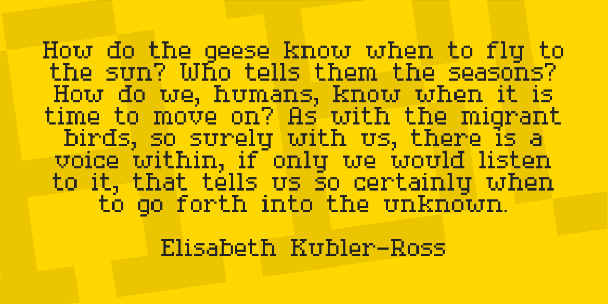 Serif Pixel-7 Font · 1001 Fonts