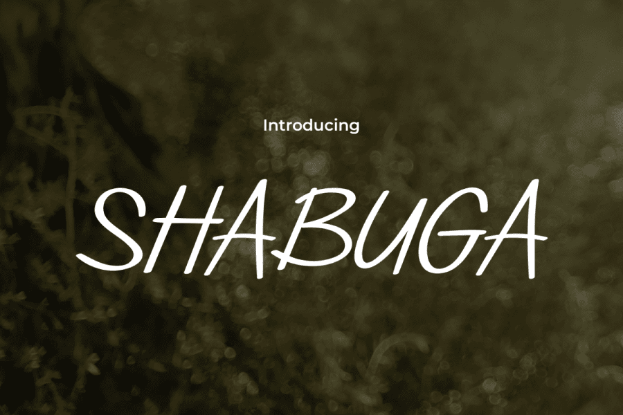 SHABUGA Font · 1001 Fonts