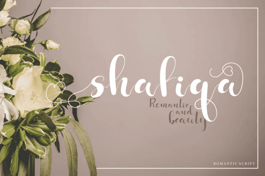 Shafiqa Font · 1001 Fonts