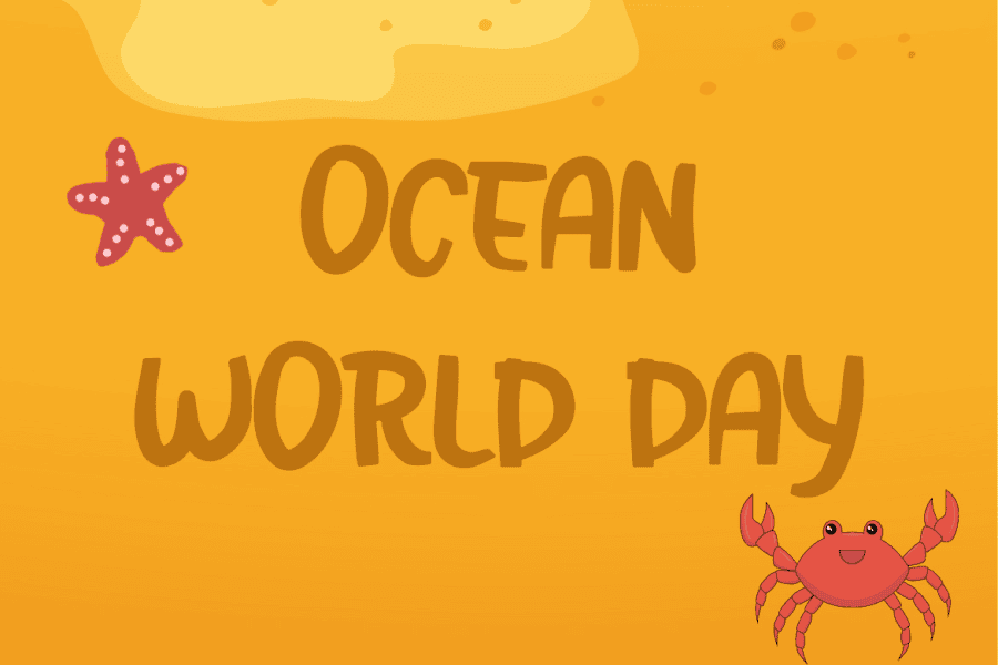 Sharkido Font · 1001 Fonts