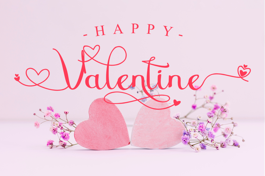 Sheila Font · 1001 Fonts