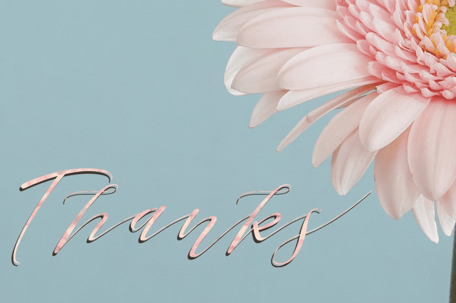 Sheraton Script Font · 1001 Fonts