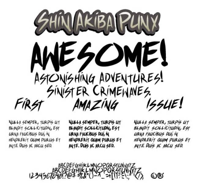 Shin Akiba Font Family · 1001 Fonts