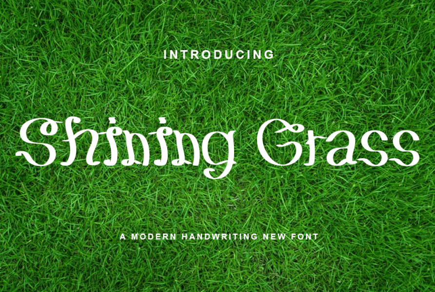 Shining Grass Font · 1001 Fonts