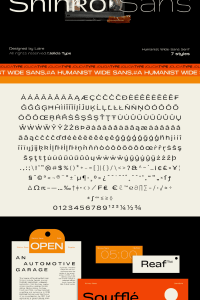 Shinko Sans Font · 1001 Fonts