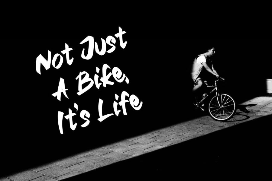 Shocker-Tide Font · 1001 Fonts
